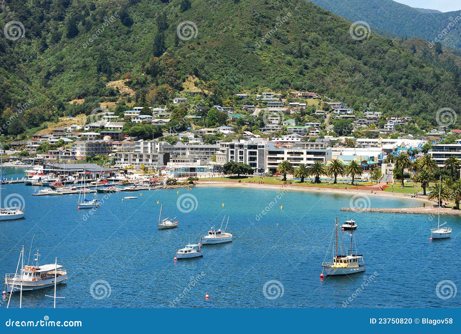 View of Picton and Bay from a Hill Top Editorial Image - Image of blue ...