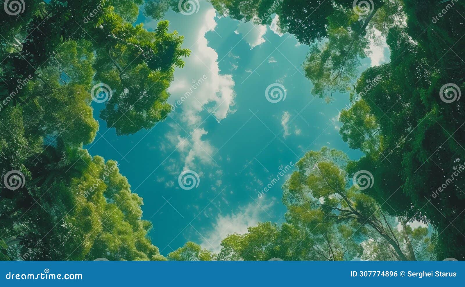 A View of a Picture Taken from Above Looking Down at Trees, AI Stock ...