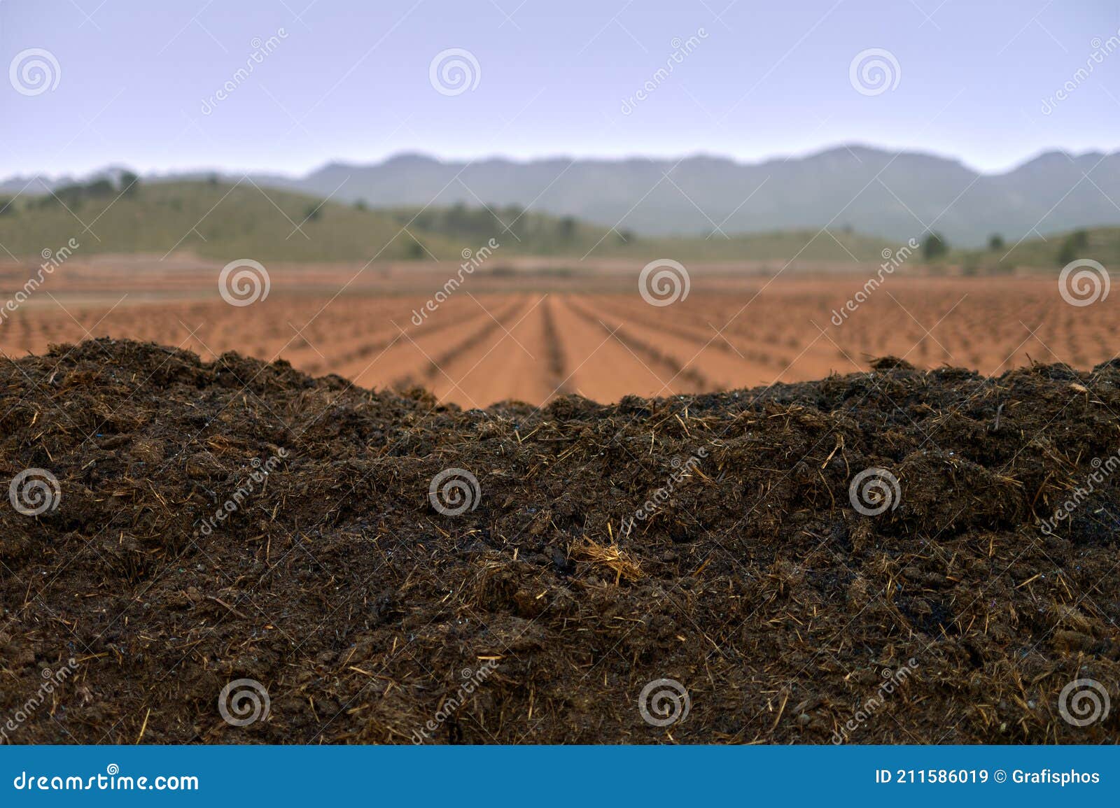 Big Pile Of Organic Fertilizer In A Cart Stock Image | CartoonDealer ...