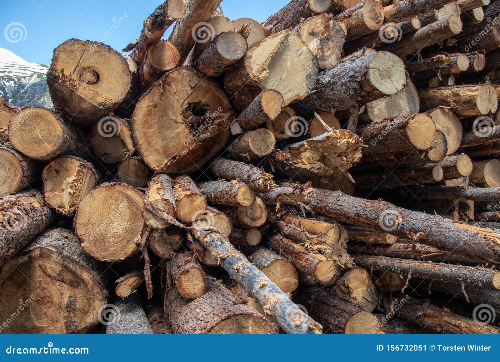 View from a Pile with Tree Trunk Stock Image - Image of material ...