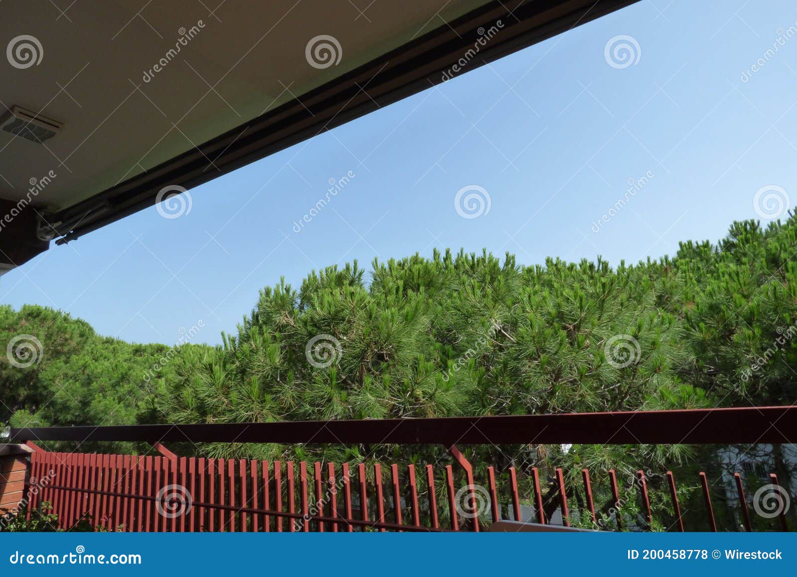 View of Pine Trees from a Balcony in a Garden Under the Sunlight Stock ...