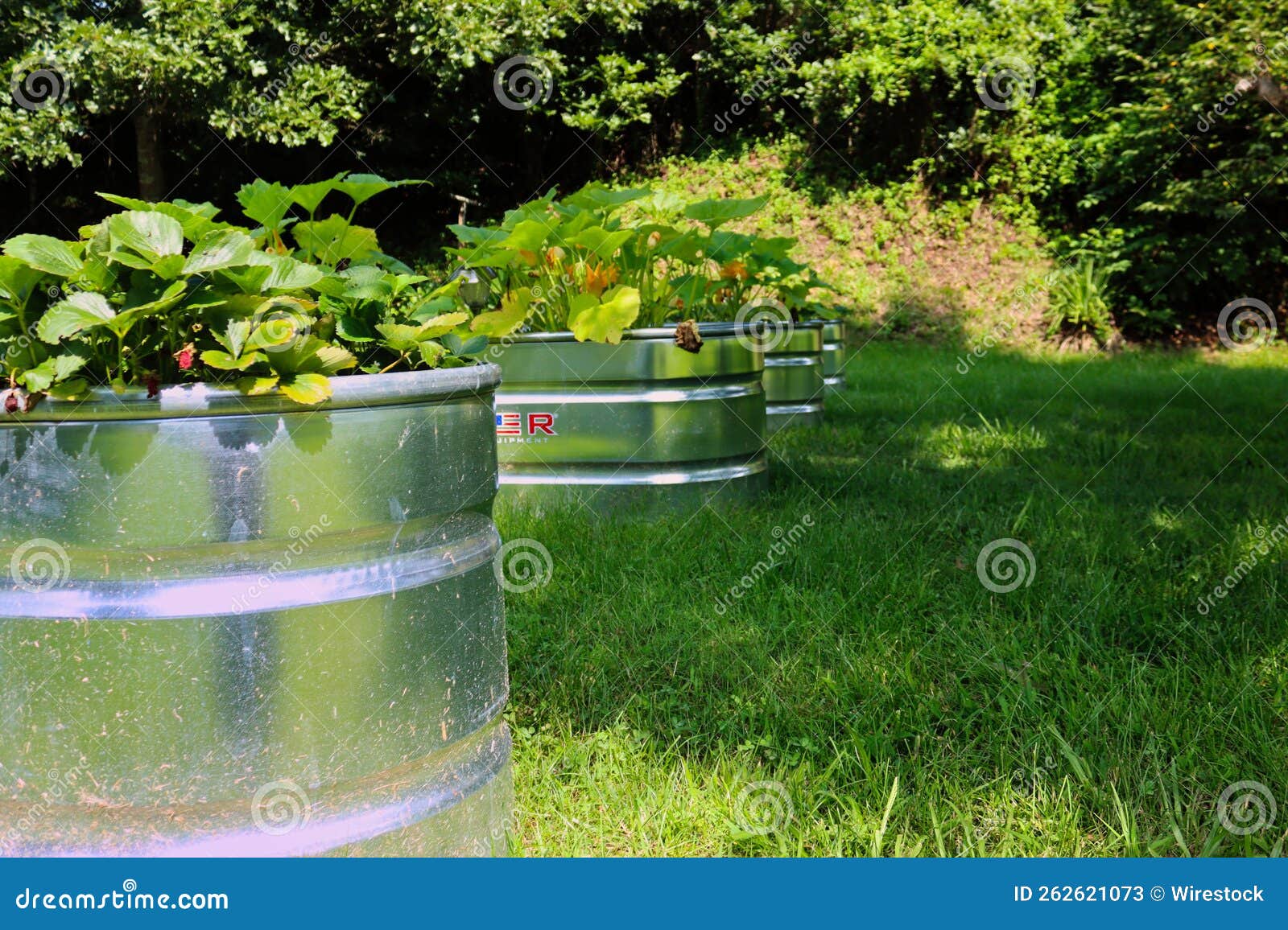 View of Plants Growing in Metal Raised Beds Stock Image - Image of ...