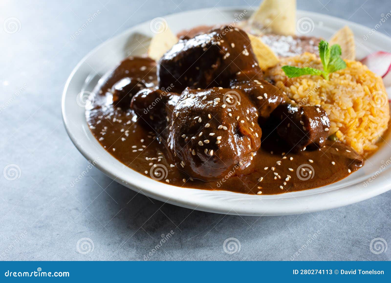 Plate of chicken mole stock image. Image of rice, plate - 280274113