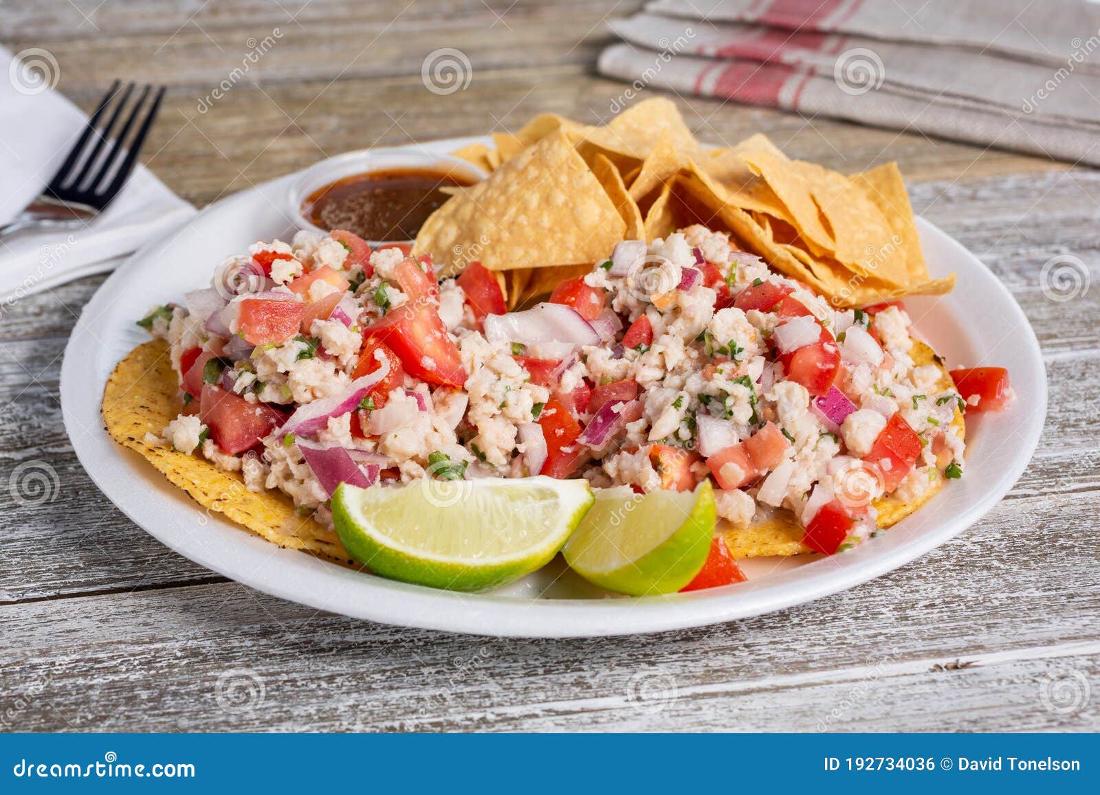 Fish ceviche plate stock photo. Image of mexican, plate - 192734036
