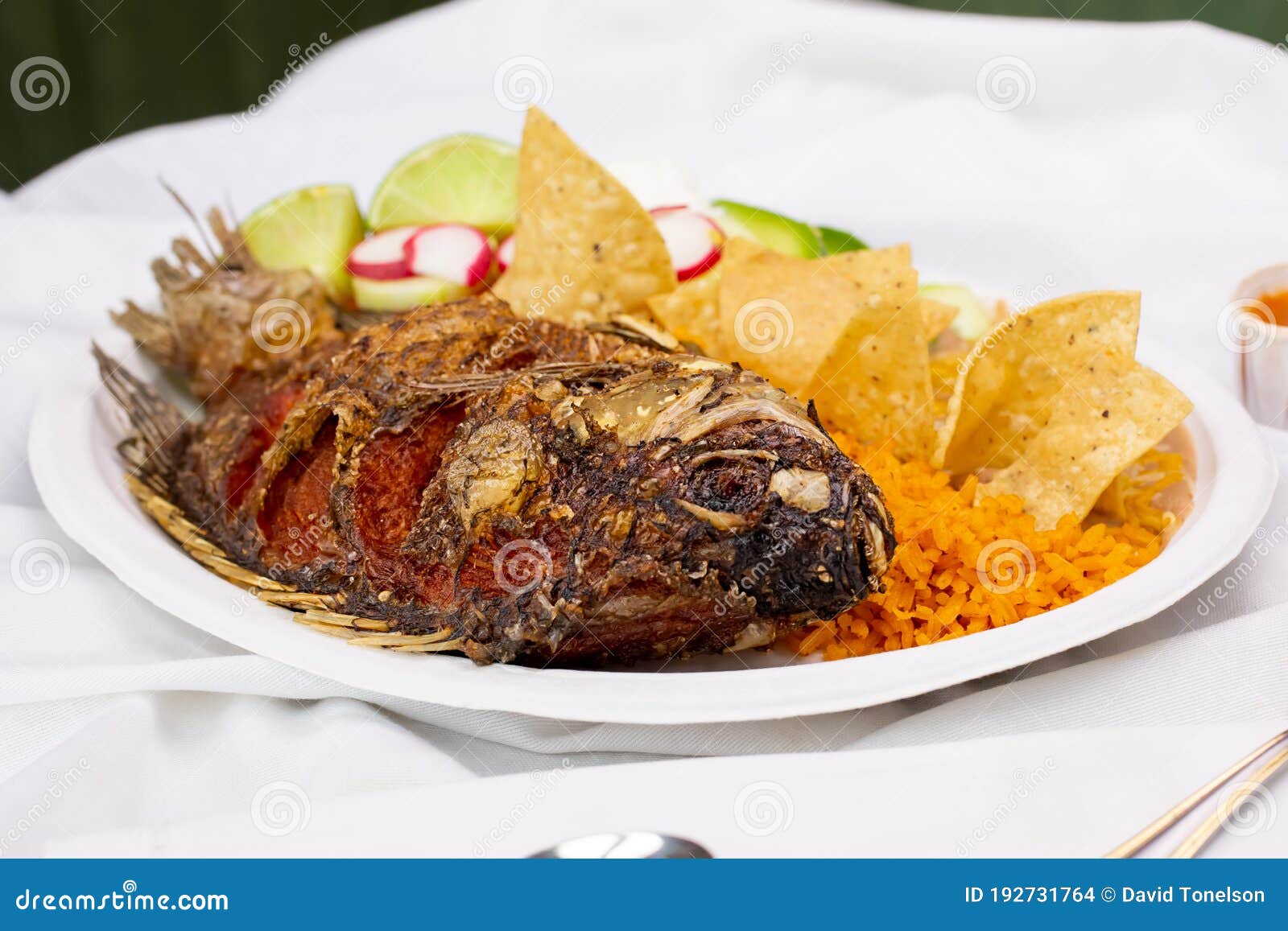 Fried tilapia stock photo. Image of napkin, placemat - 192731764
