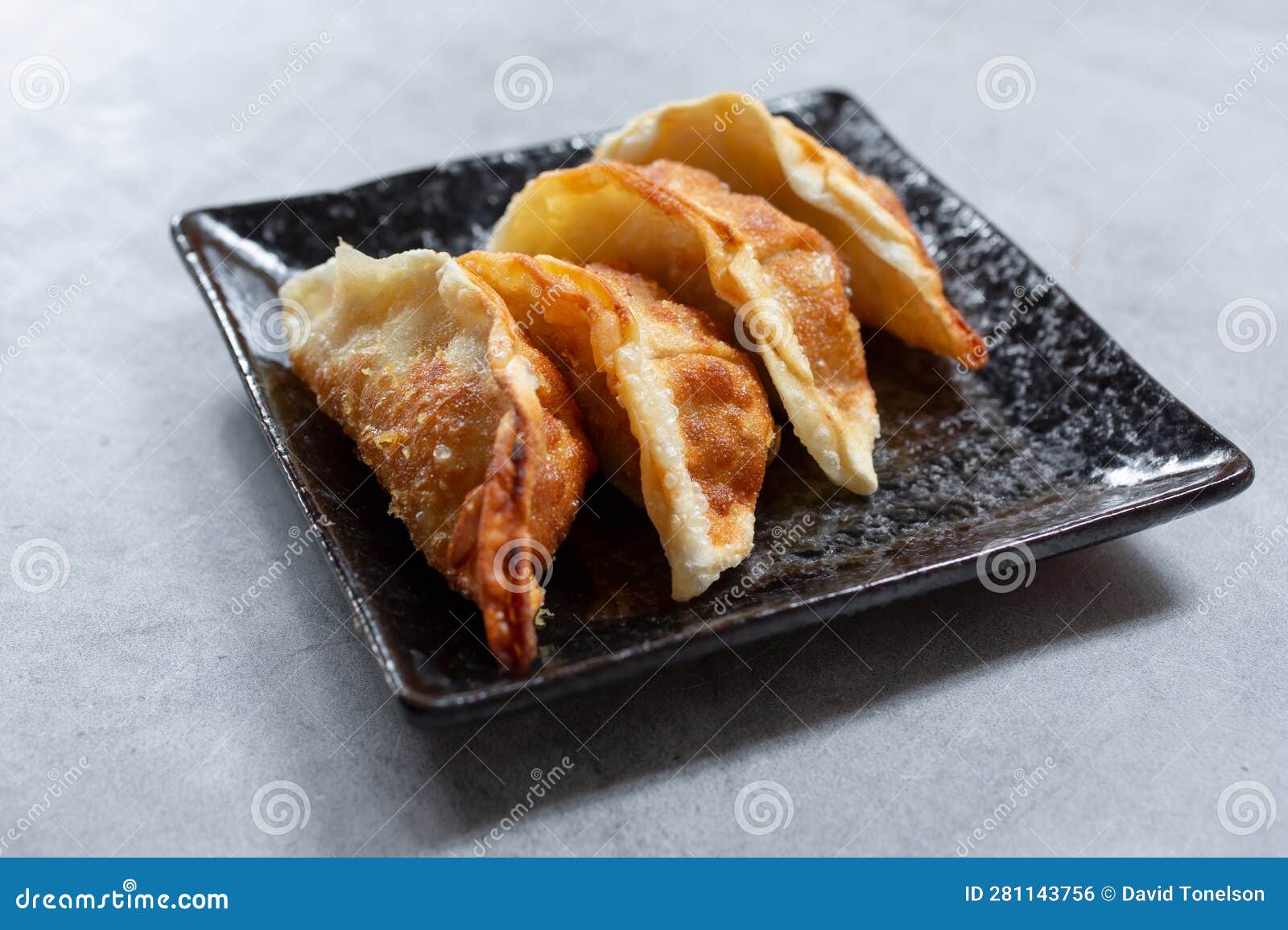 Plate of gyoza stock photo. Image of chinese, shelf - 281143756