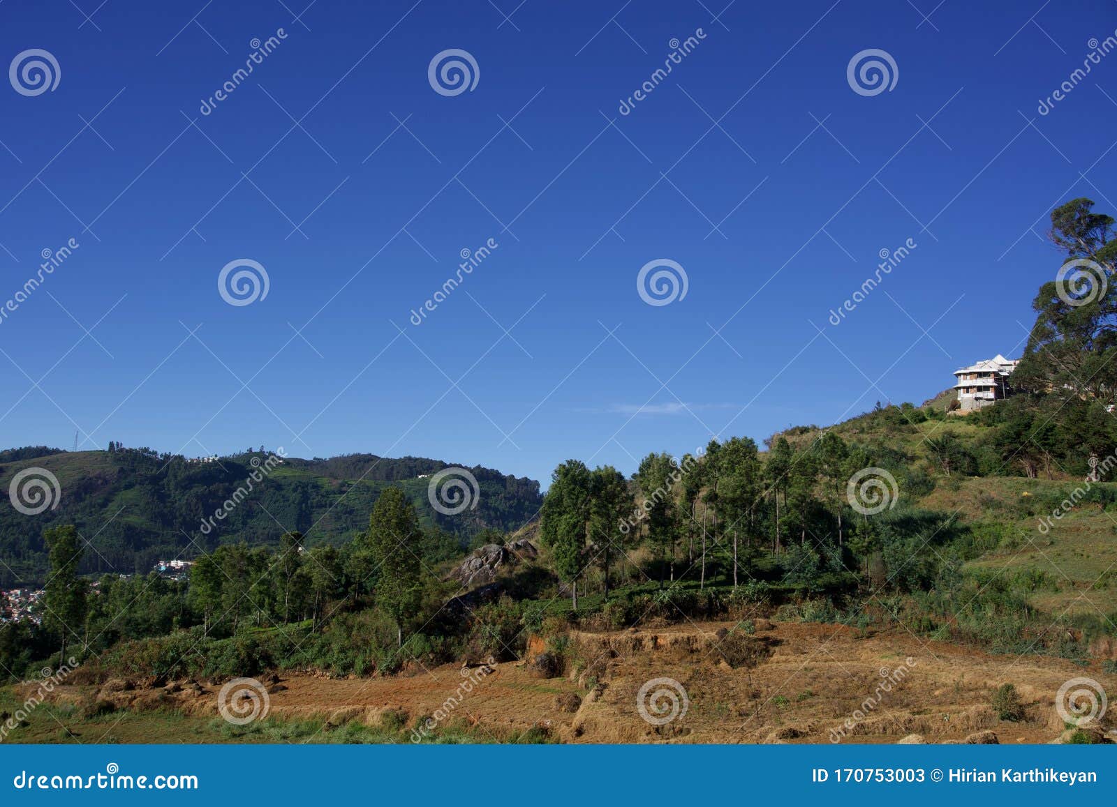 View Point Forest Railway with Green Trees and Leaf with Beautiful ...