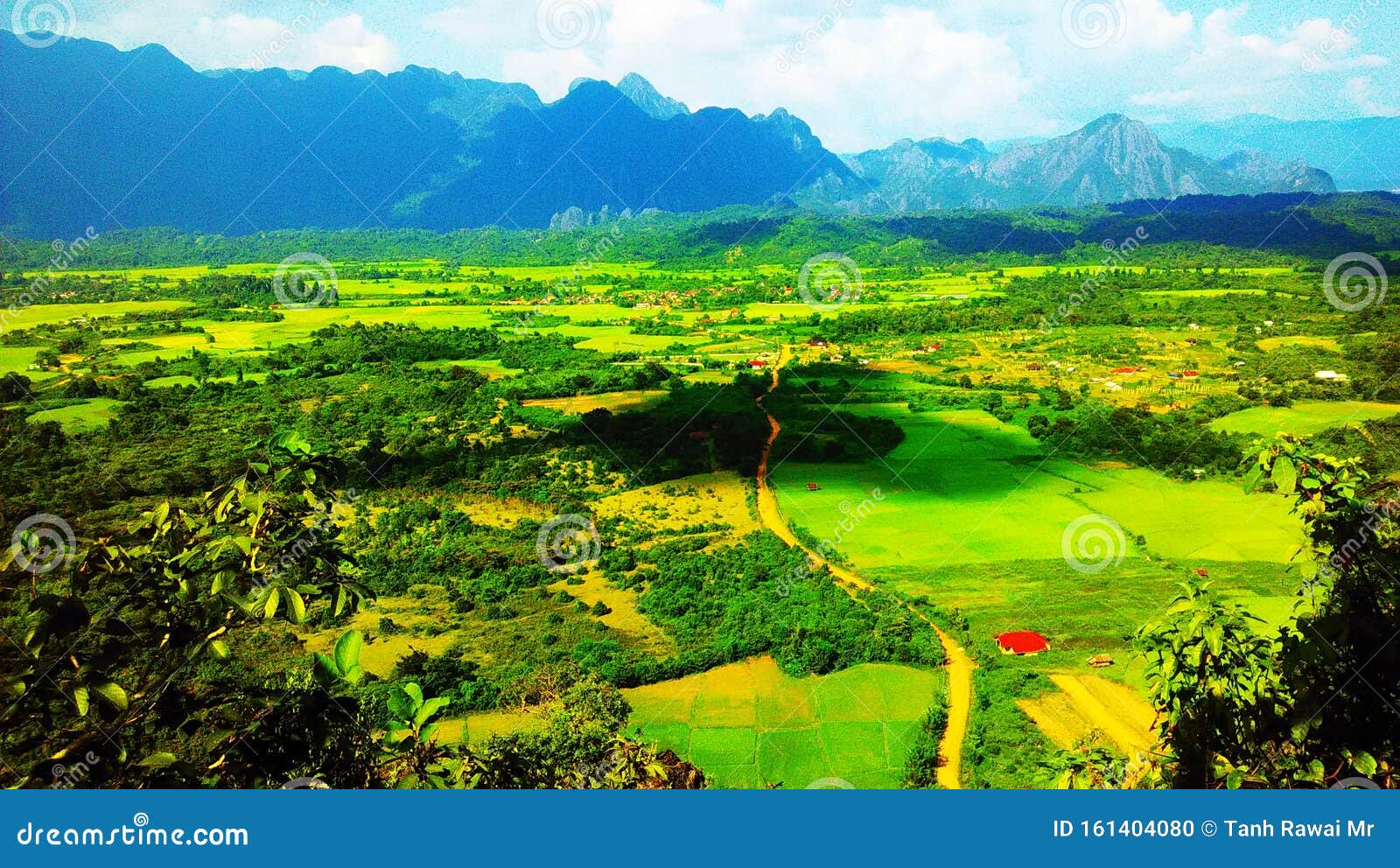 View Point Nice Good View Tree Stock Photo - Image of point, good ...