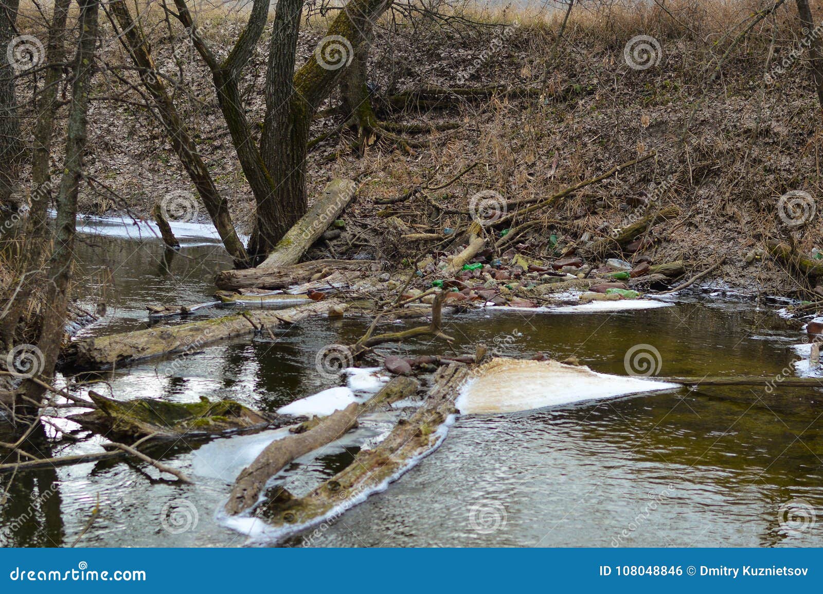 View of the Polluted Small Forest River with a Lot of Different Plastic ...