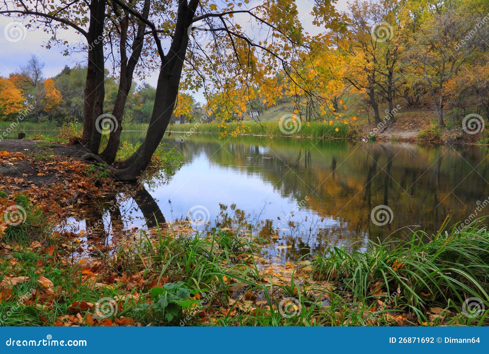 View of a pond stock photo. Image of watercourse, deciduous - 26871692