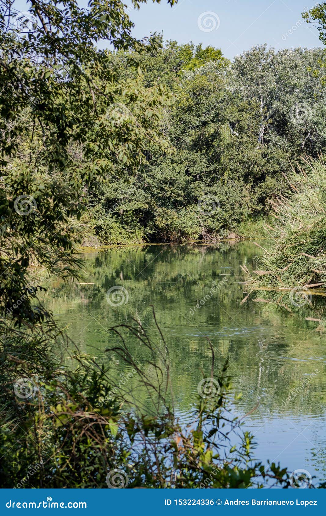 View of the pond stock photo. Image of environment, tourism - 153224336