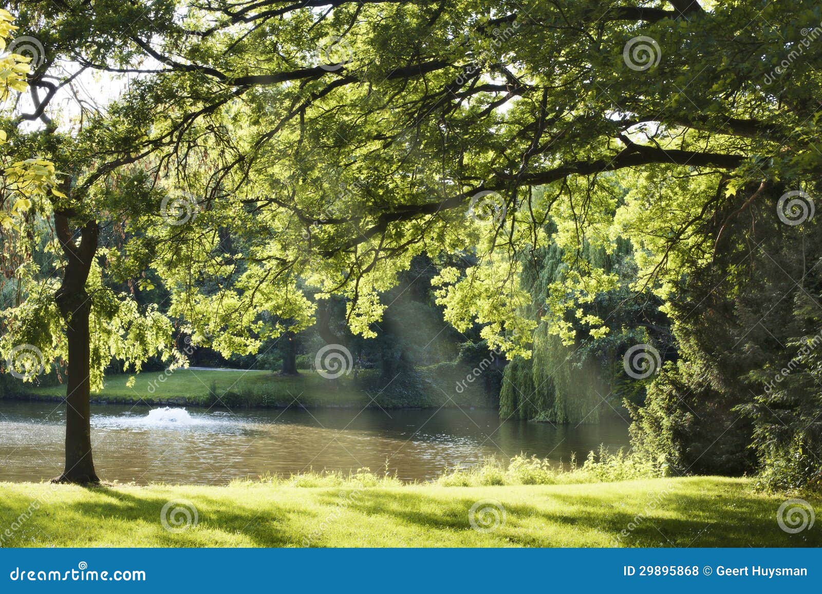 Pond in a park stock photo. Image of leaf, lush, landscape - 29895868