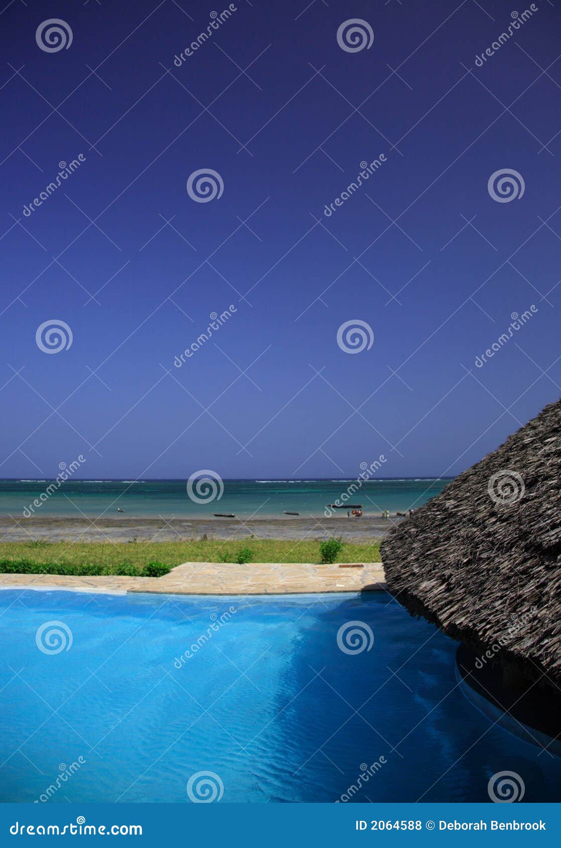View from the pool stock photo. Image of mombassa, swimming - 2064588