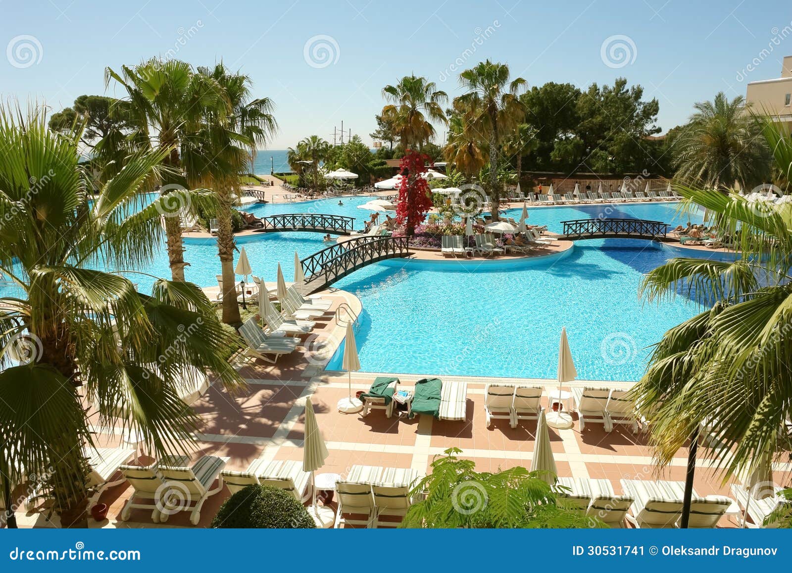View with pool. stock image. Image of hotel, turkey, palm - 30531741
