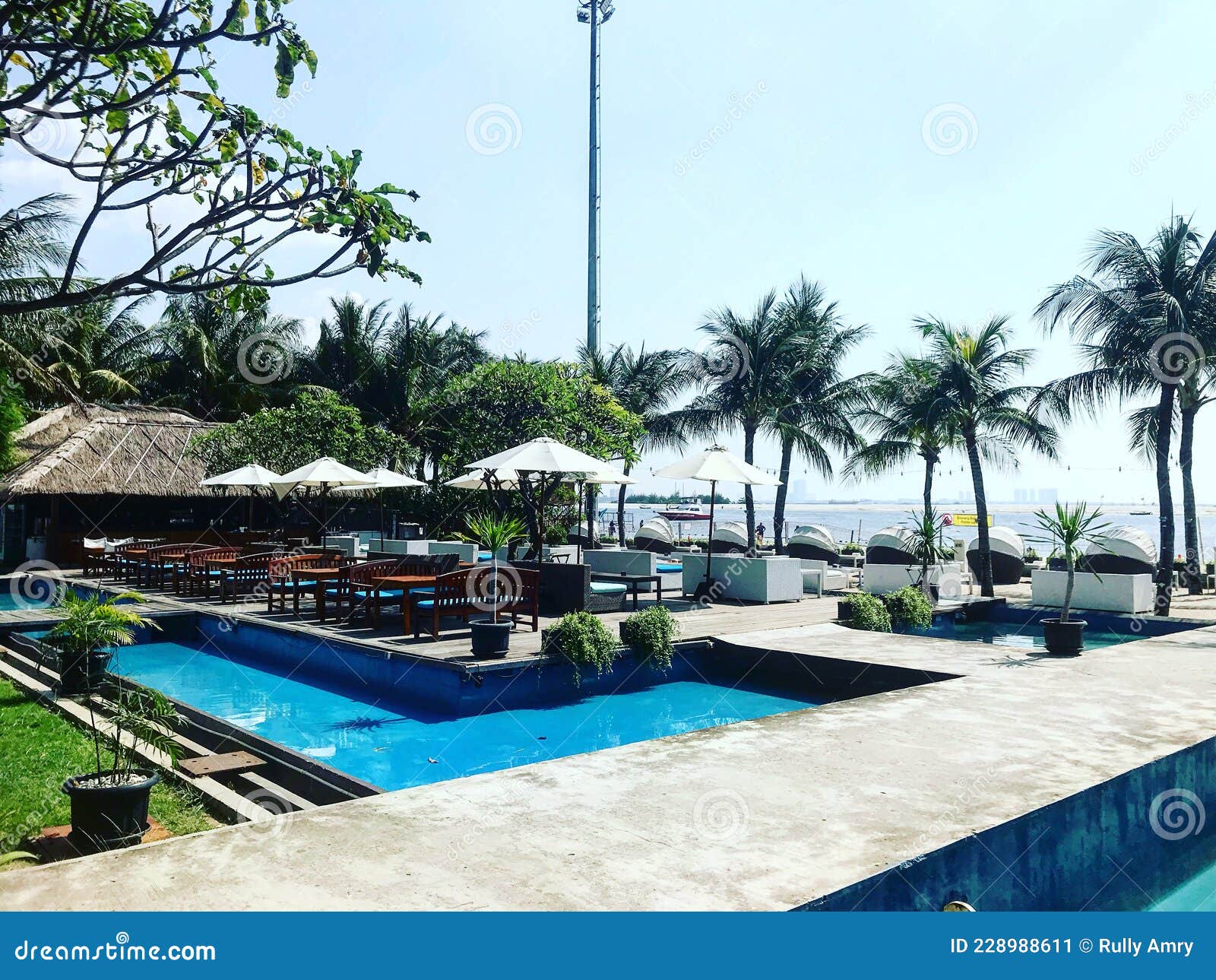 View stock image. Image of pool, coconut, view, tree - 228988611