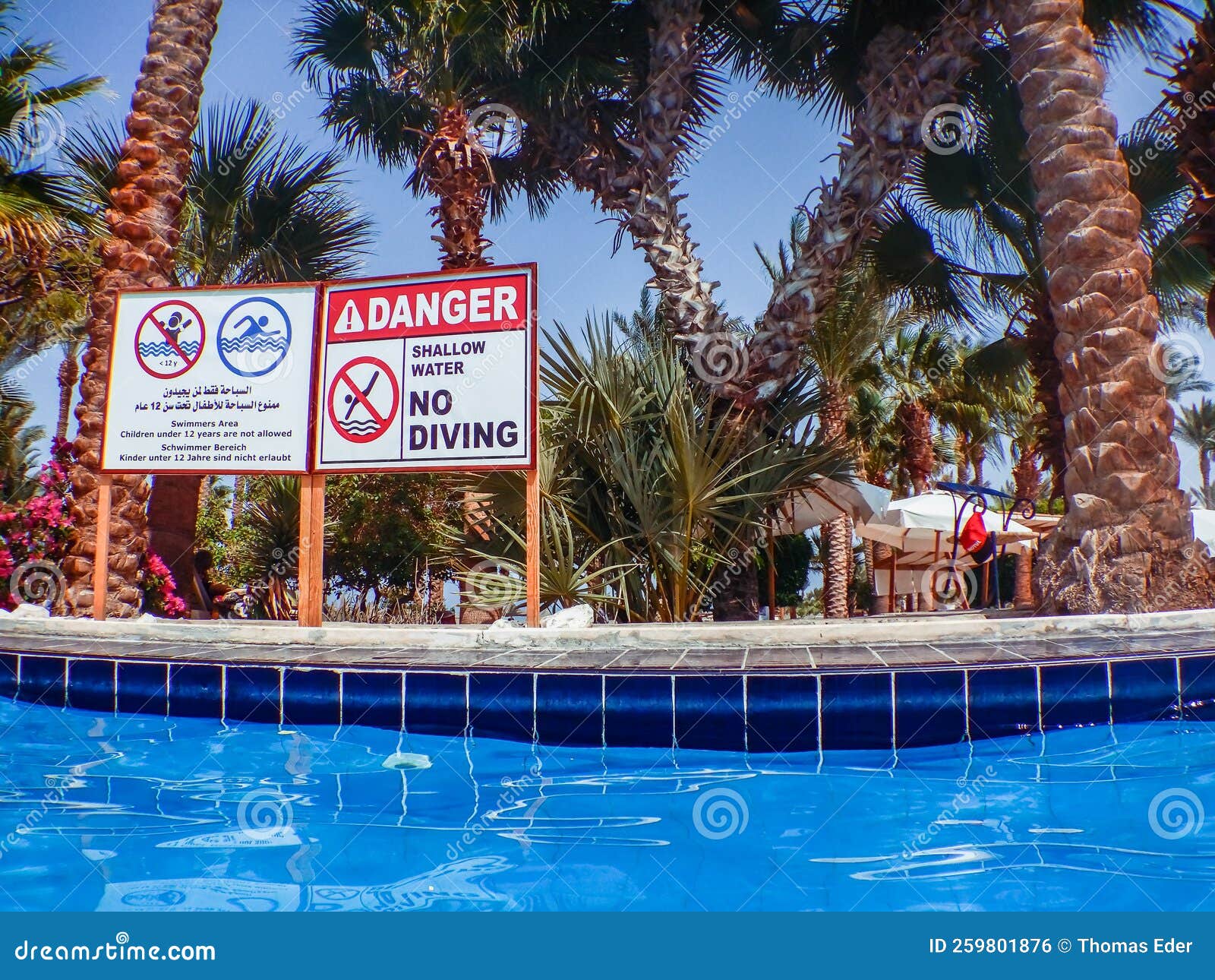 View from the Pool To the Signs and Palm Trees Stock Photo - Image of ...