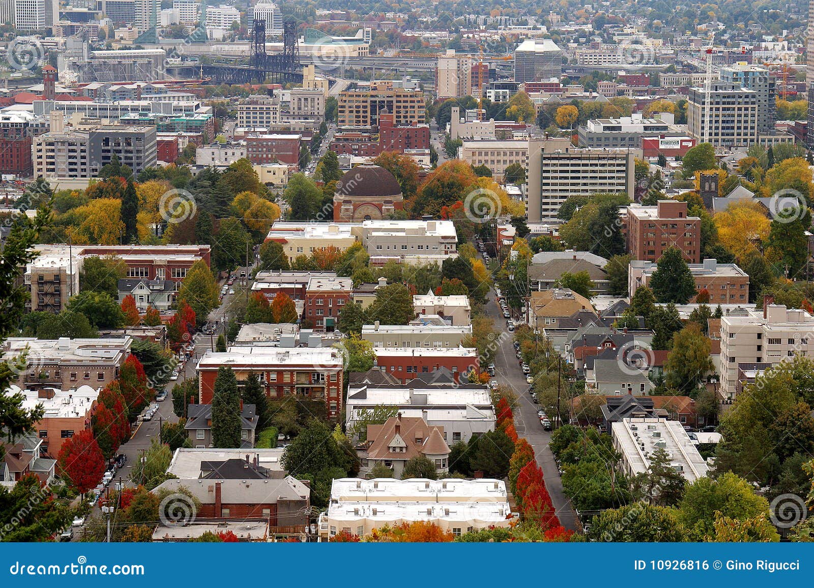 A view of Portland Oregon. stock photo. Image of trees - 10926816