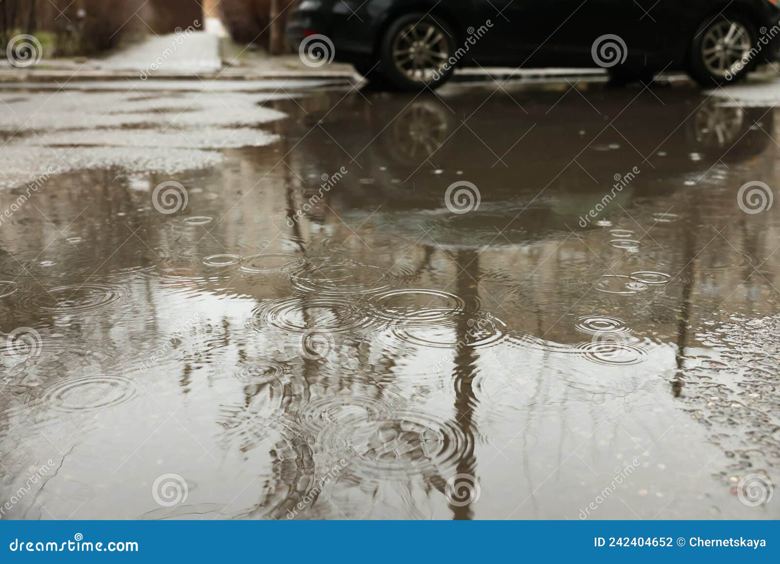 View of Pouring Rain on City Street Stock Photo - Image of rainwater ...