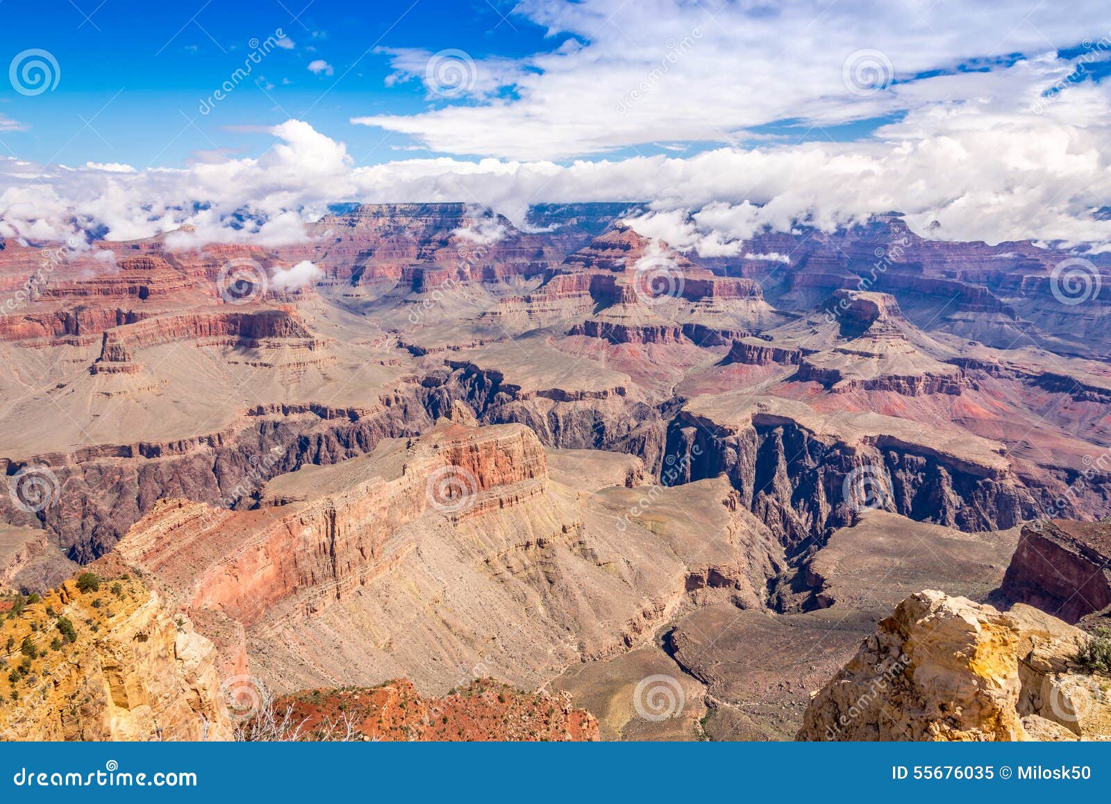View from Powell Point at the Grand Canyon Stock Image - Image of grand ...