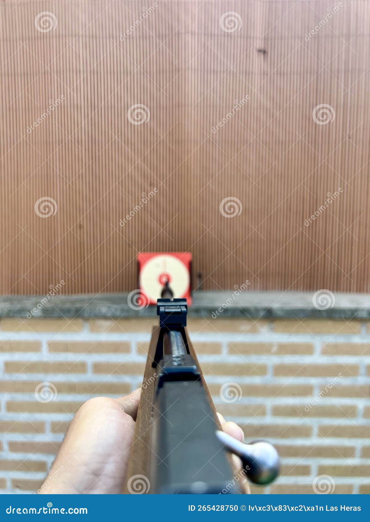 View of a Practice Rifle Aiming at a Practice Point. Stock Photo ...