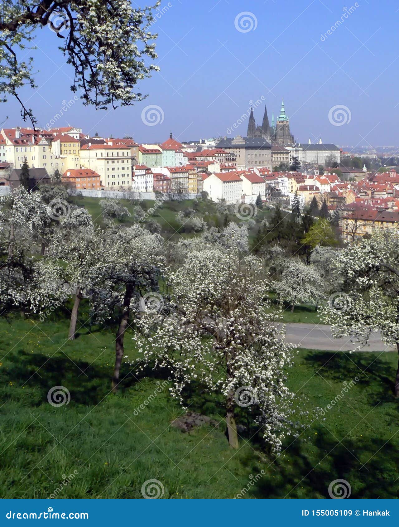 View of prague in spring stock image. Image of cityscape - 155005109