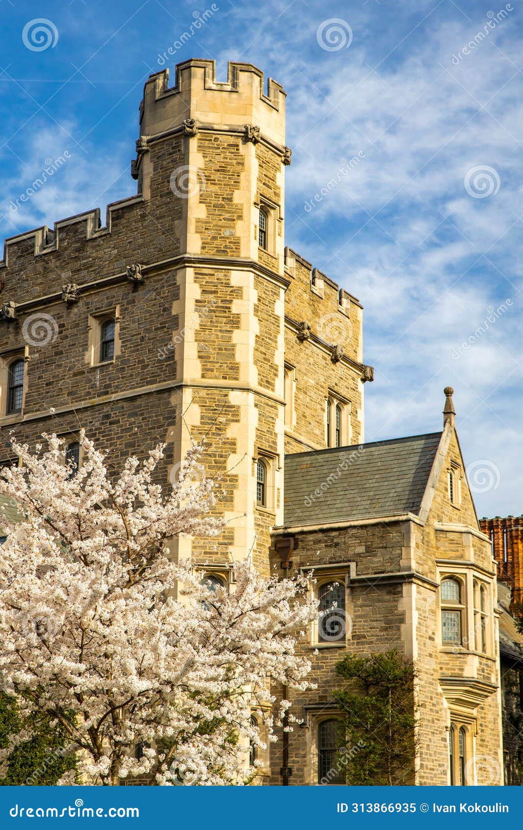 View of Princeton University Campus Vintage Building at Spring ...