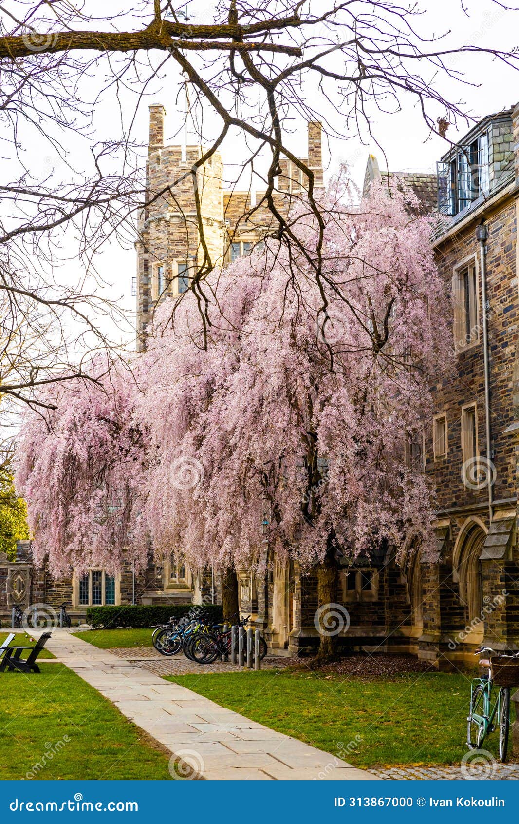 View of Princeton University Campus Vintage Building at Spring Stock ...