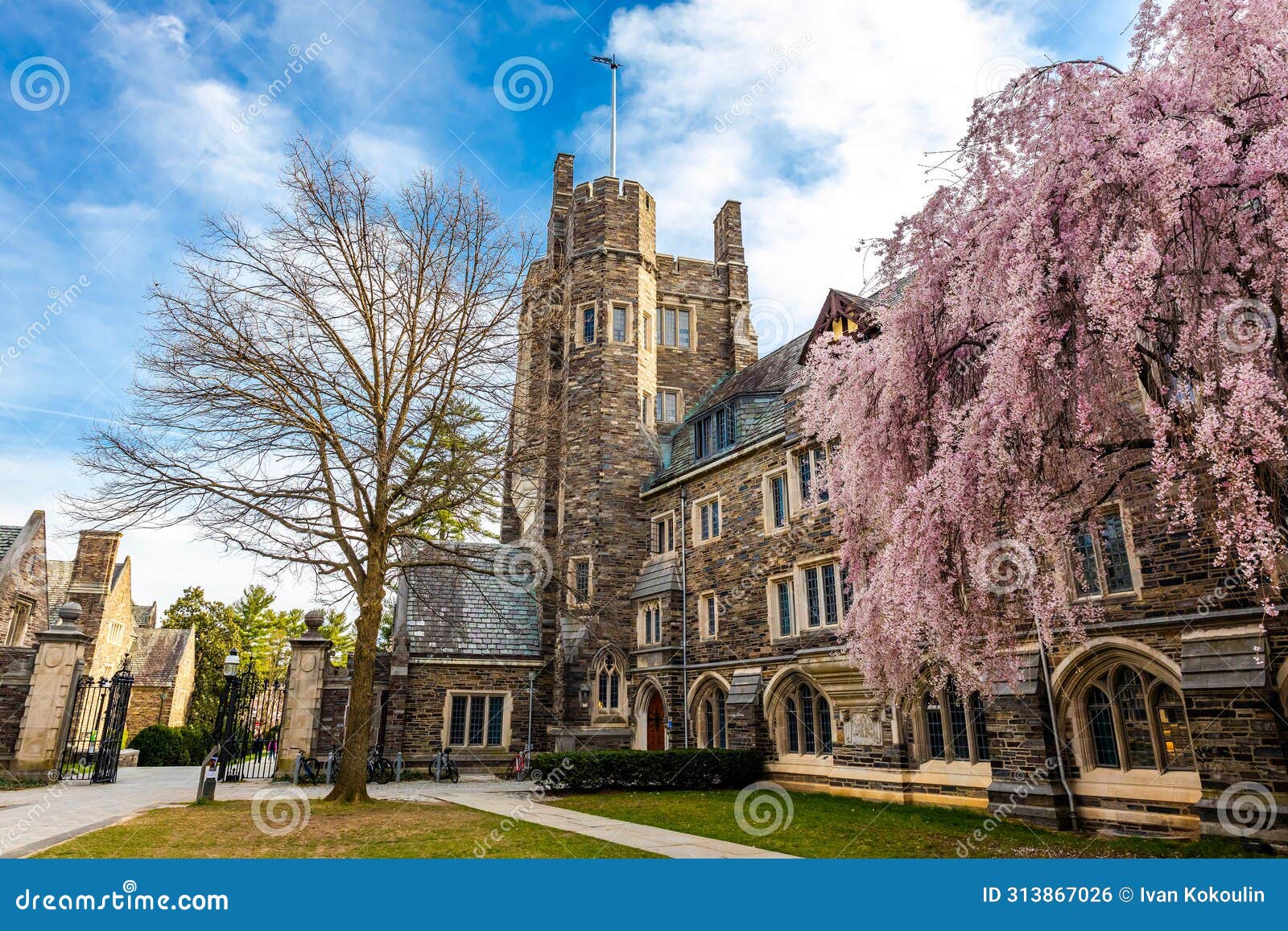 View of Princeton University Campus Vintage Building at Spring Stock ...
