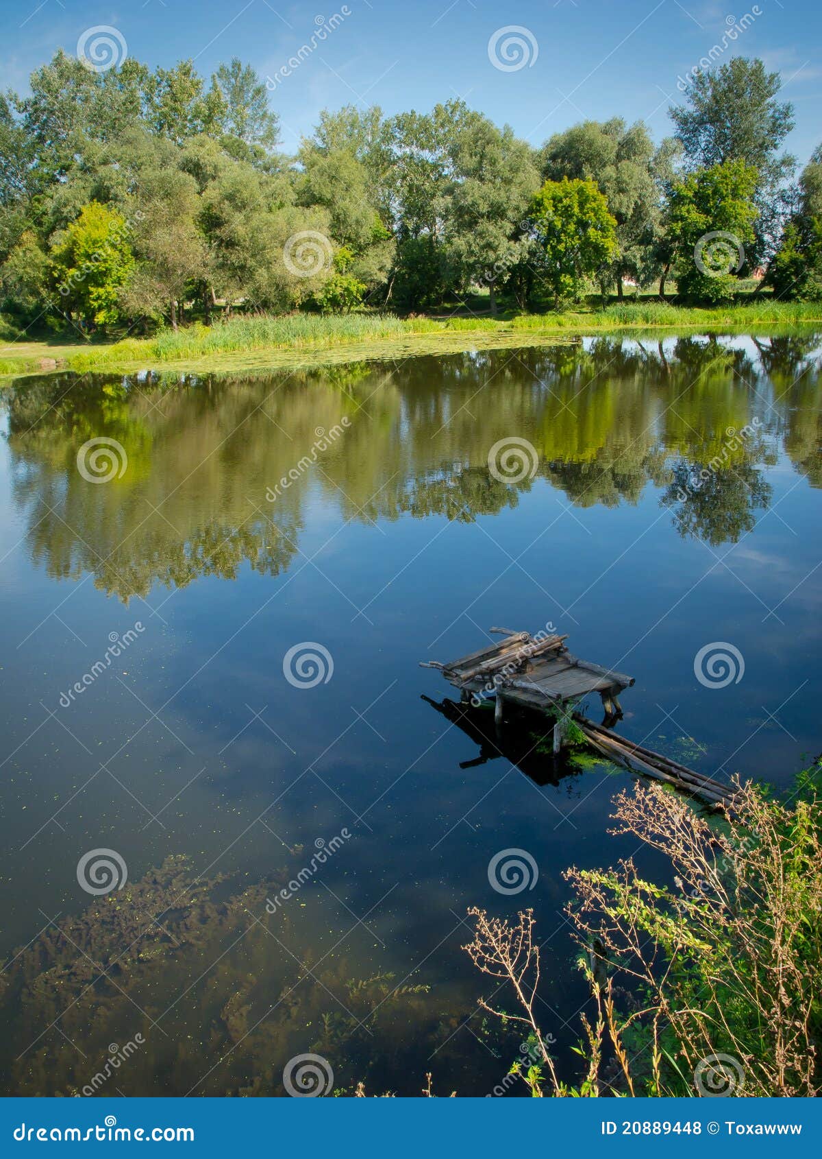 View of Psel River stock photo. Image of peace, leaf - 20889448