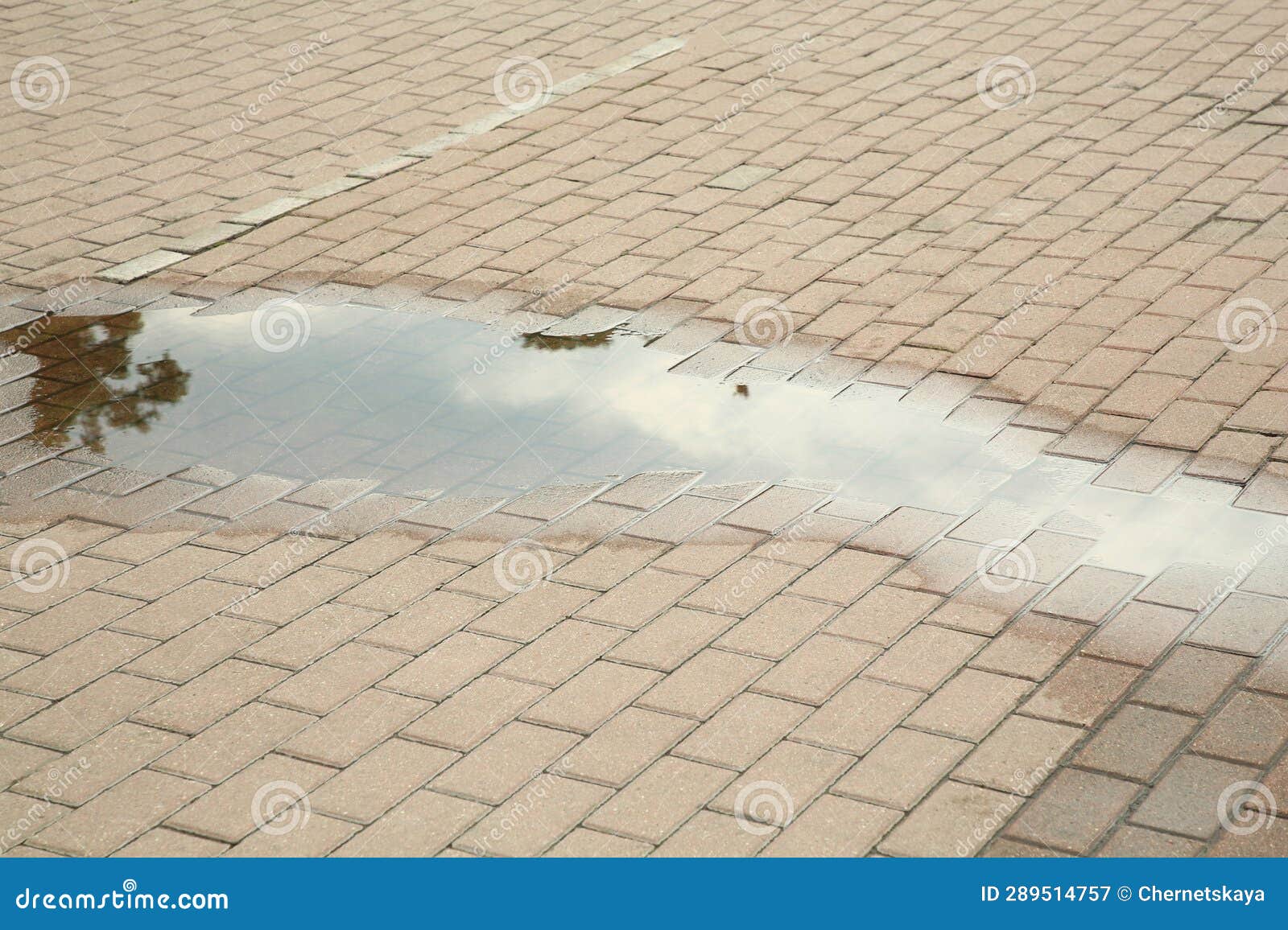 View of Puddle on Paving Stones Outdoors Stock Image - Image of stones ...