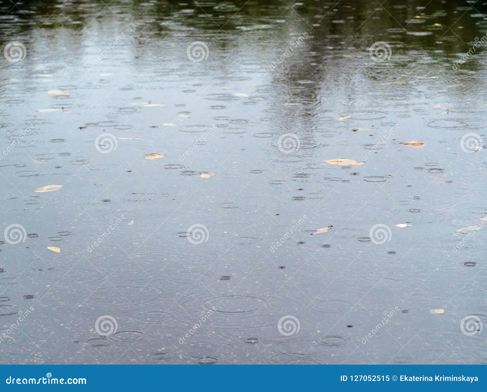 Puddle on Road Puddle in Autumn Rain Stock Image - Image of float ...
