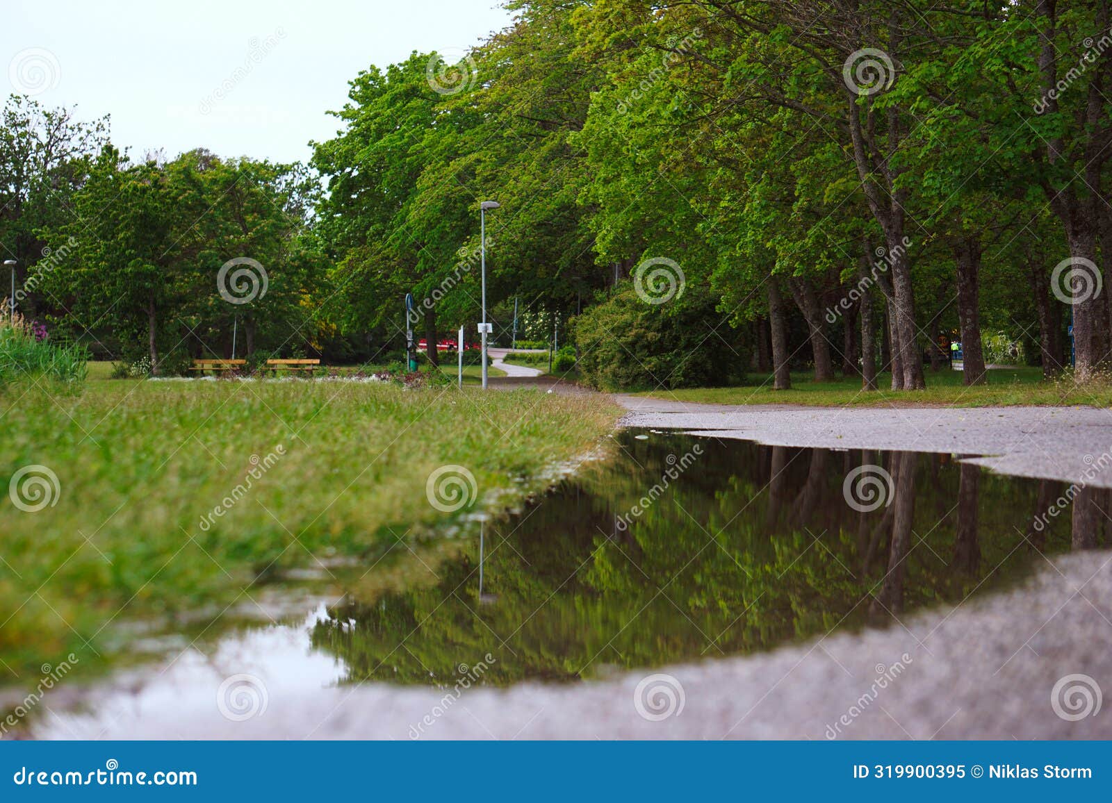 View of a Puddle on a Walkway Stock Image - Image of land, trail: 319900395
