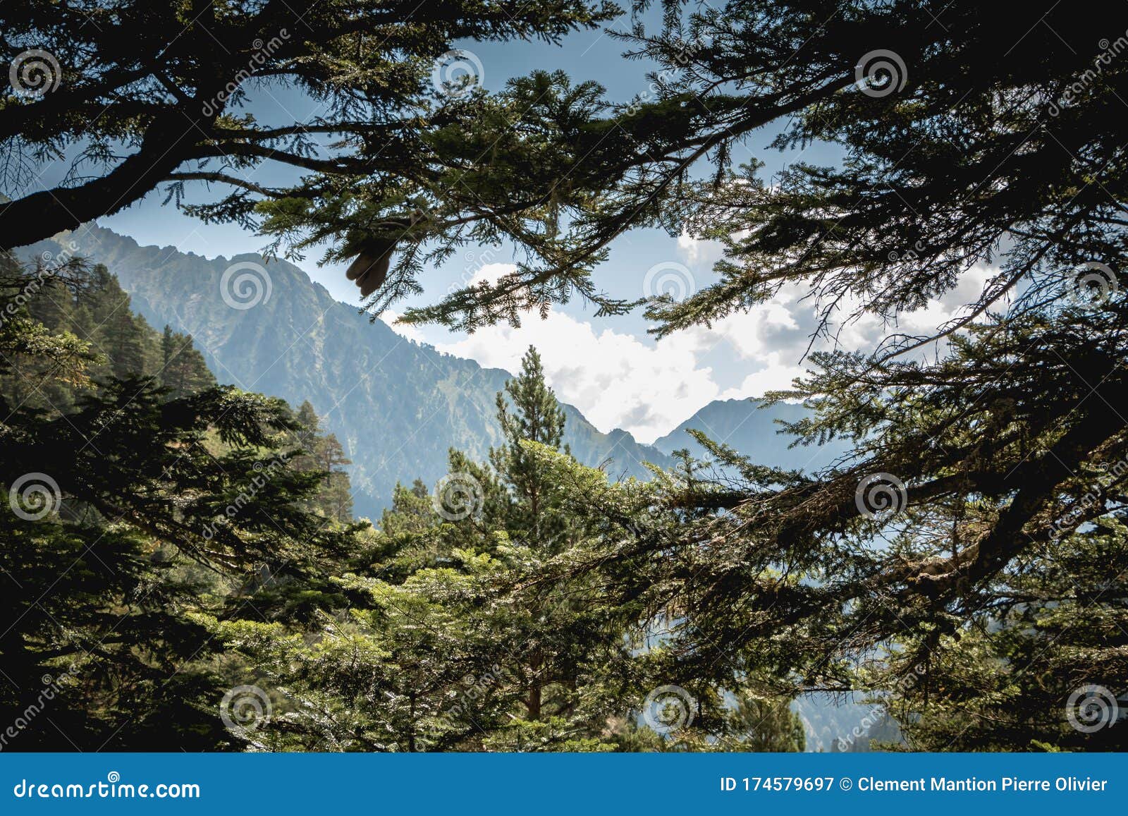 View of the Pyrenees Mountains Behind the Trees Stock Image - Image of ...