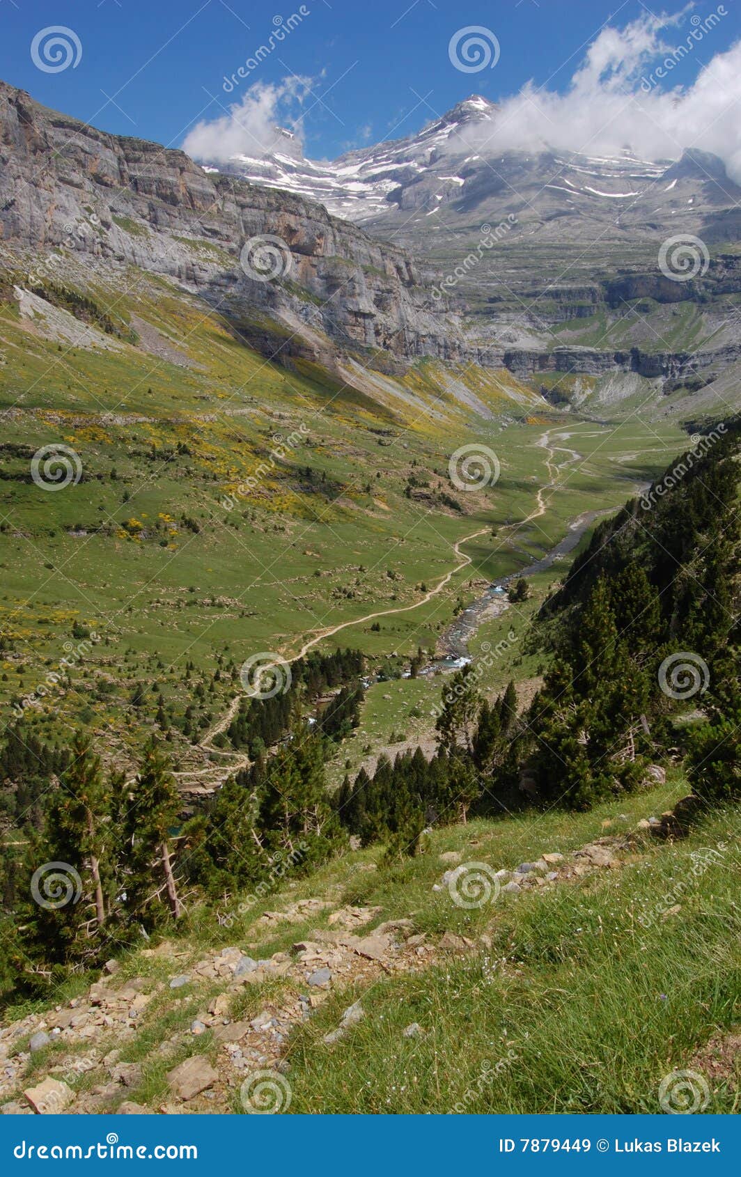View of the Pyrenees Valley Stock Image - Image of grass, valley: 7879449