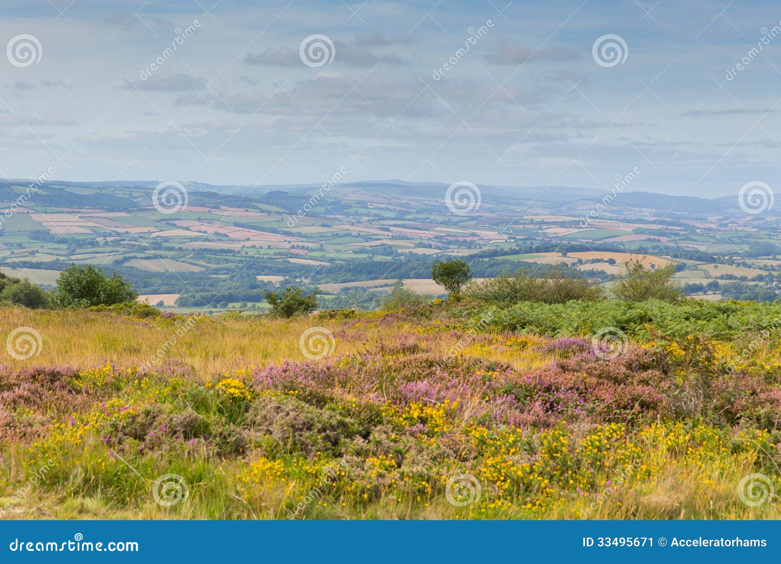 View from the Quantock Hills Somerset England Stock Image - Image of ...