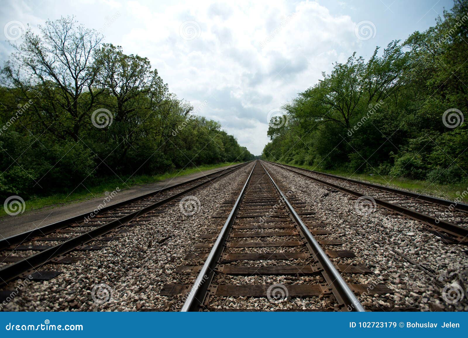 View of the Railroad Tracks with Trees Stock Image - Image of metal ...