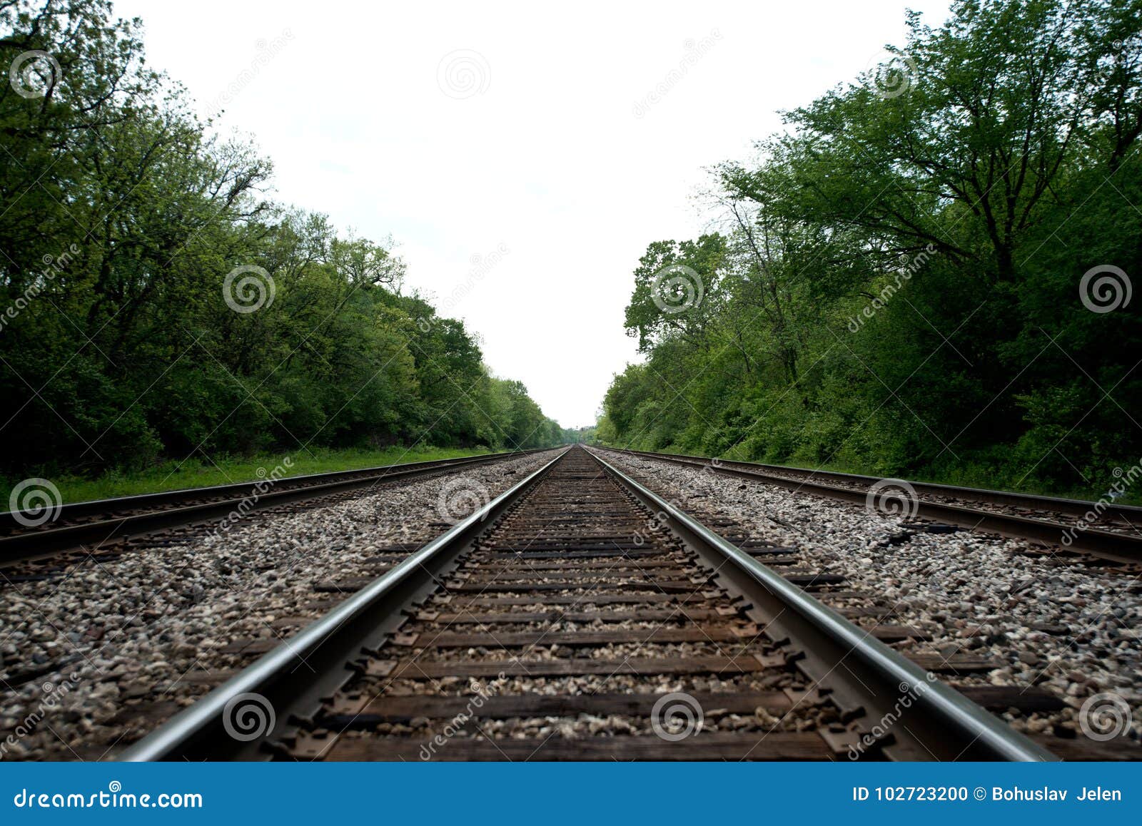 View of the Railroad Tracks with Trees Stock Photo - Image of landscape ...