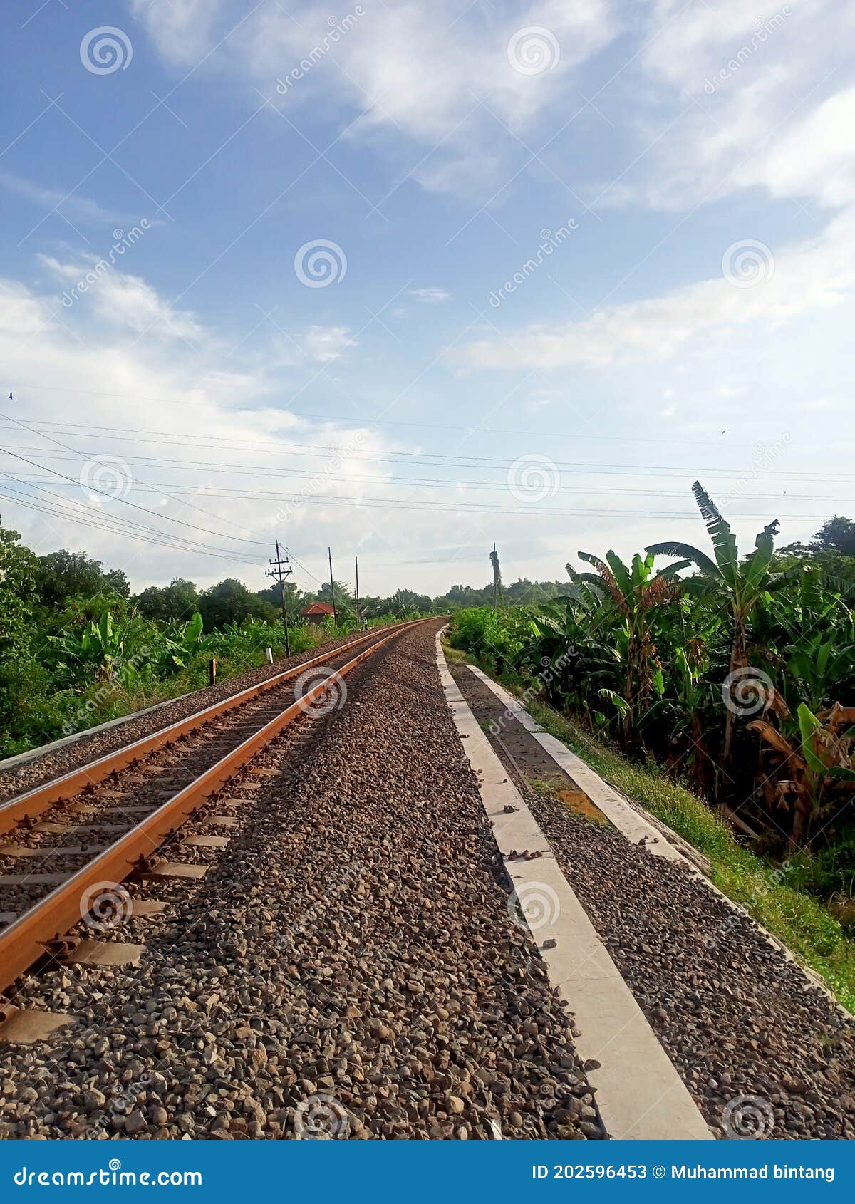 View Railway High-speed Train. Stock Photo | CartoonDealer.com #75970884