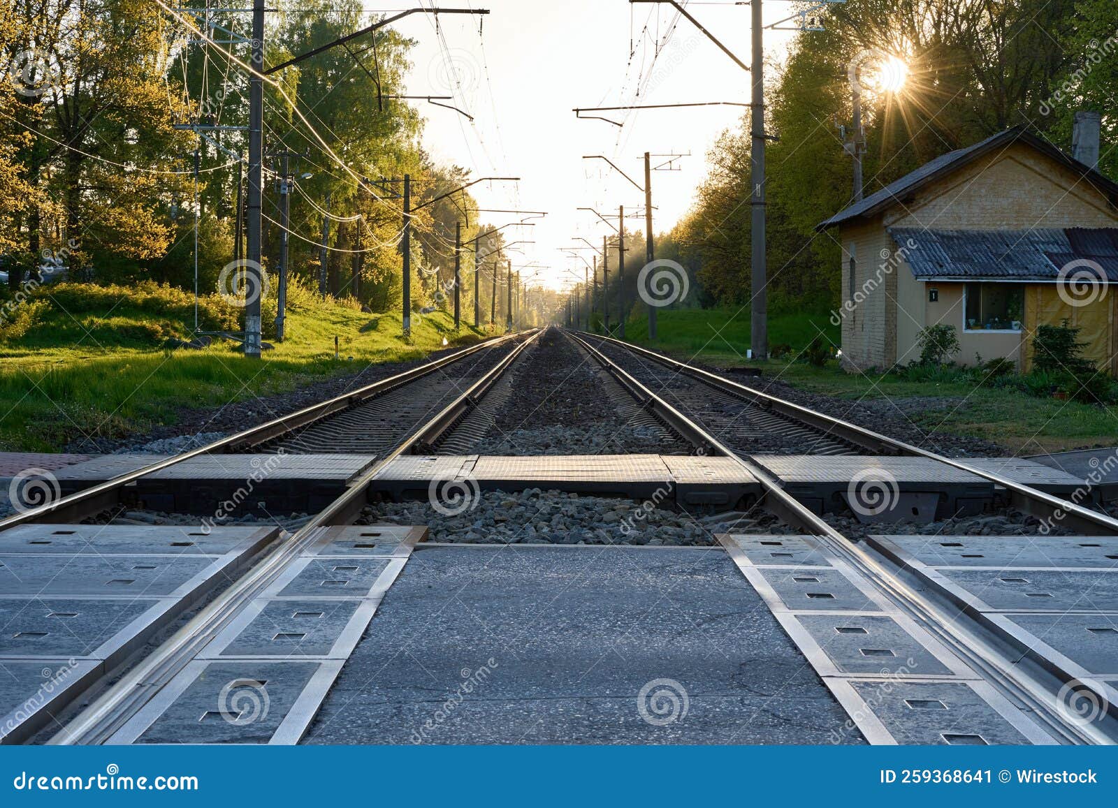 View of Railways between Trees and Columns on a Sunny Day Stock Image ...