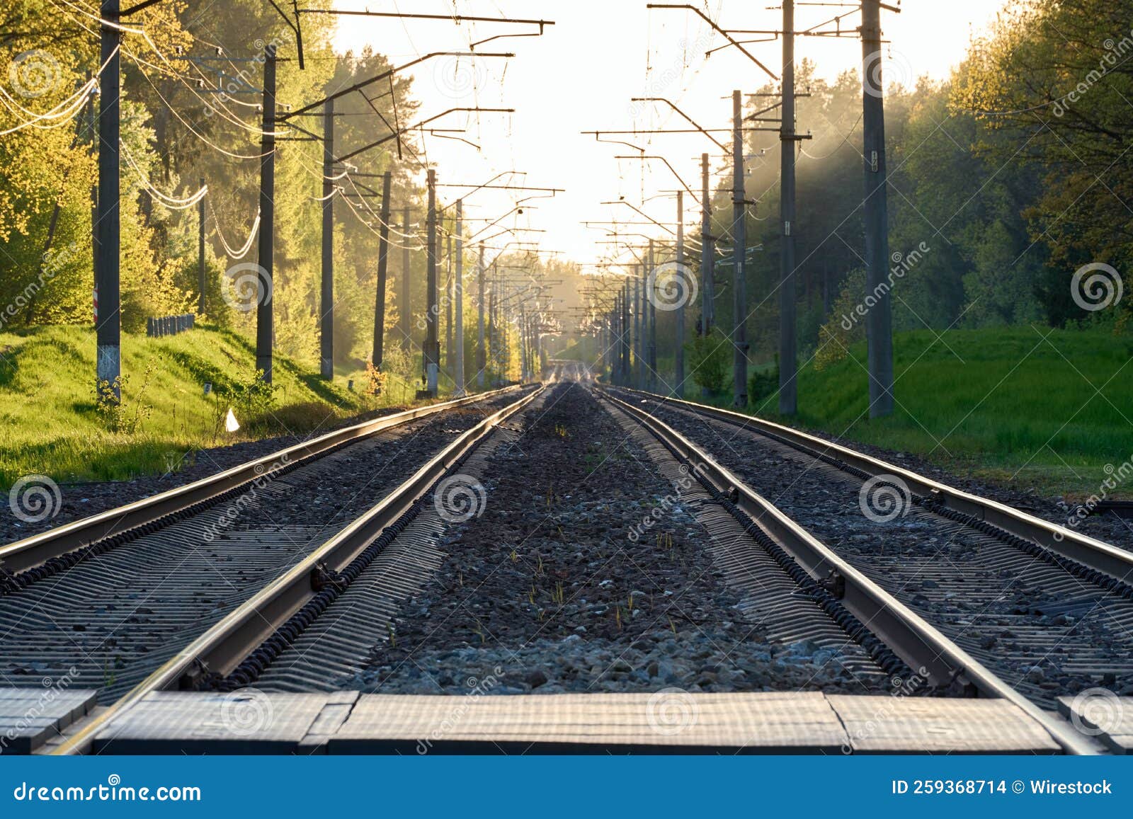 View of Railways between Trees and Columns on a Sunny Day Stock Photo ...