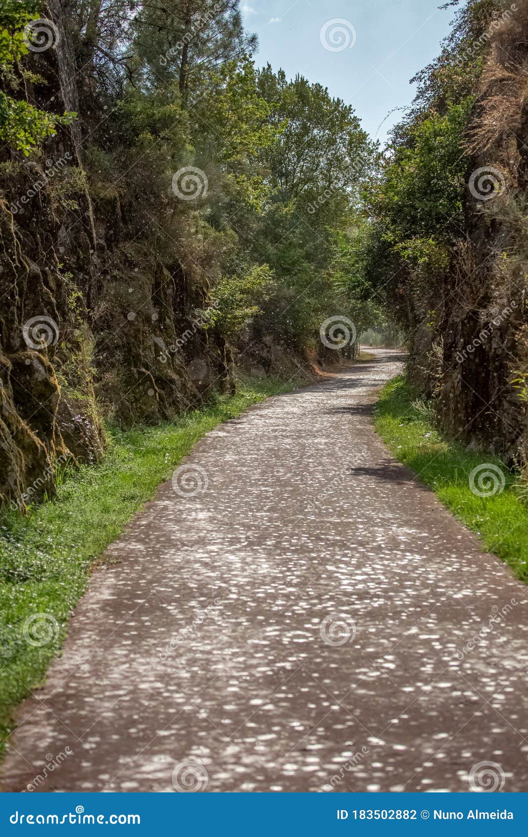 View of Rain Falling on the Ground at the Pedestrian and Cycle Eco Path ...