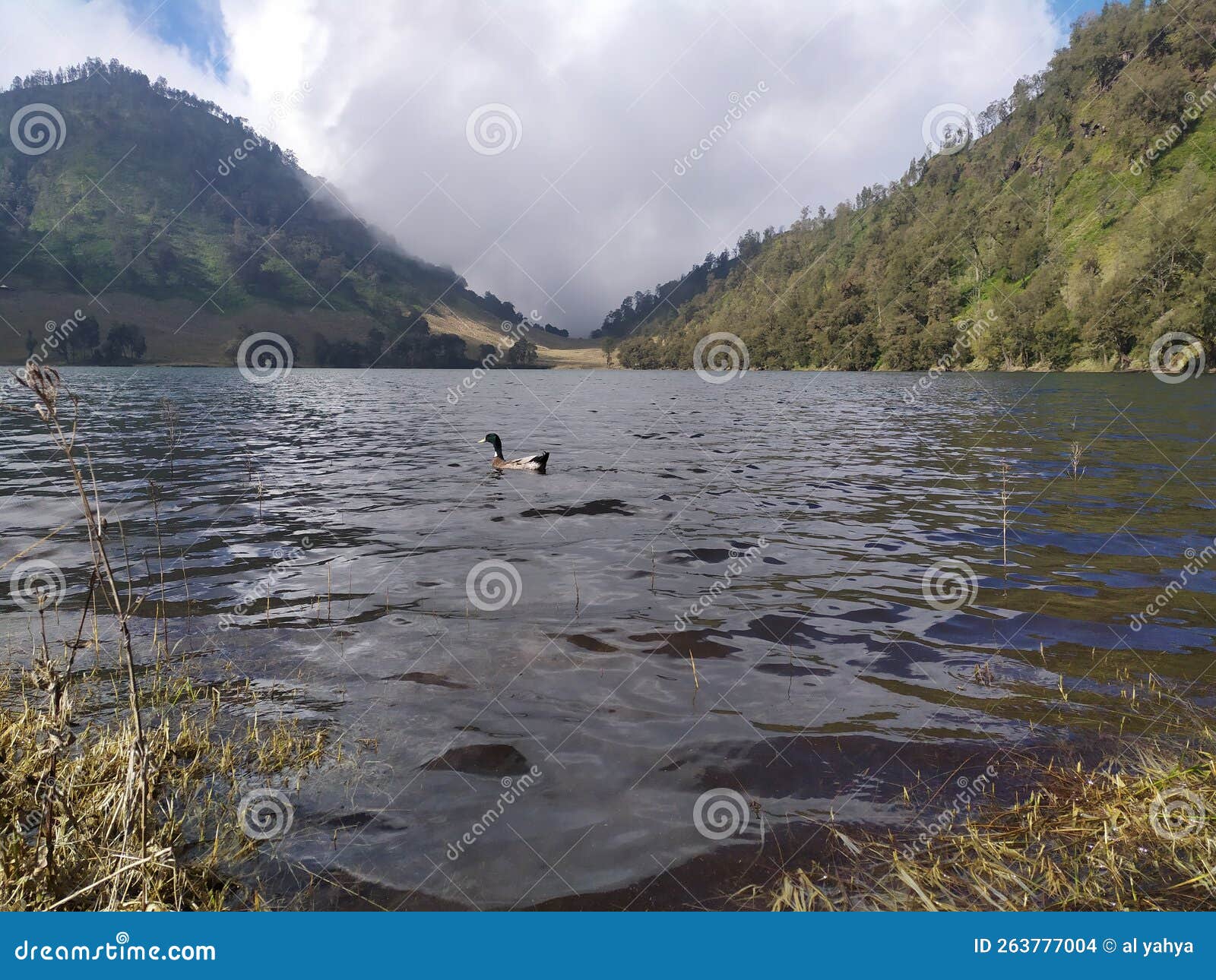 View of ranu kumbolo stock photo. Image of swimming - 263777004