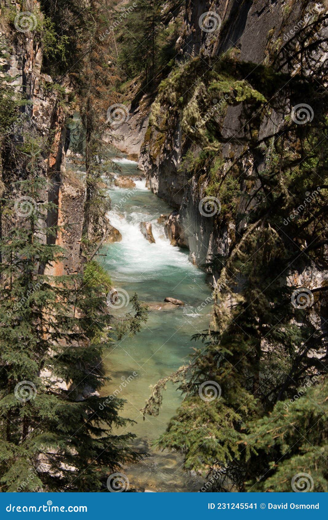 A View of Rapids in a River Flowing Towards the Camera Stock Image ...