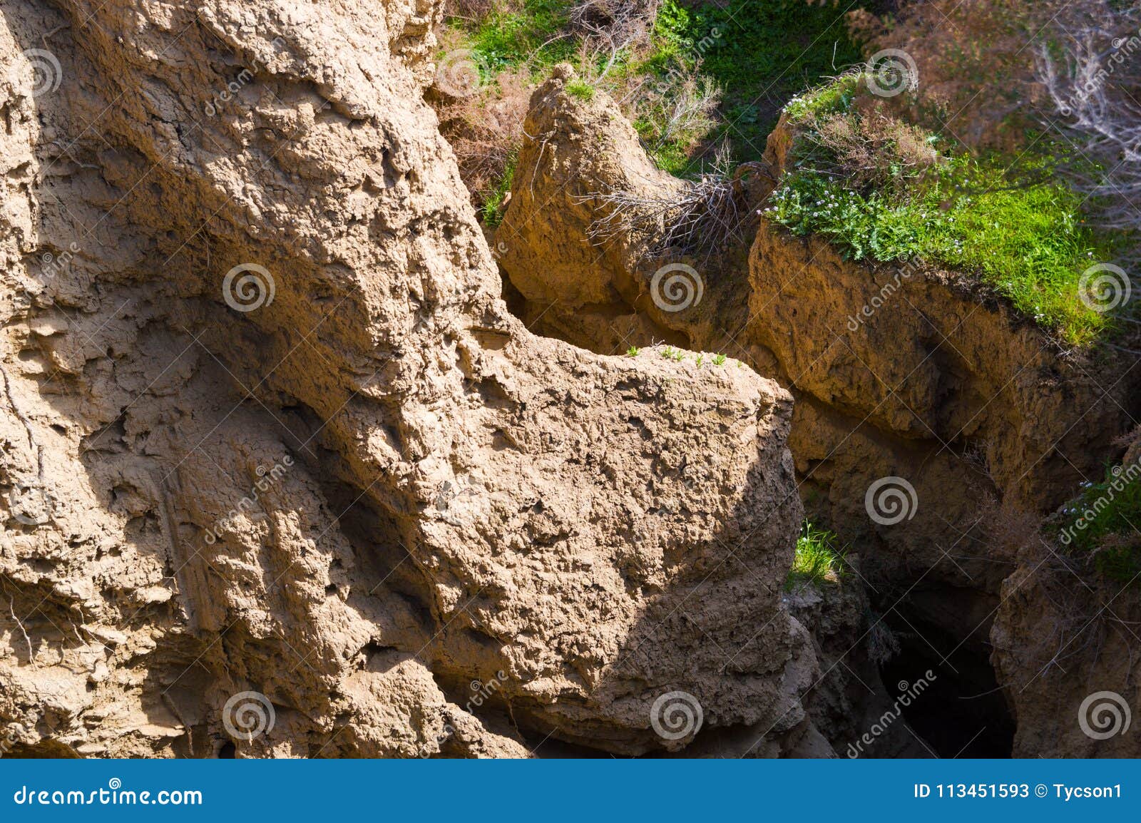 View of the ravine edge stock image. Image of green - 113451593