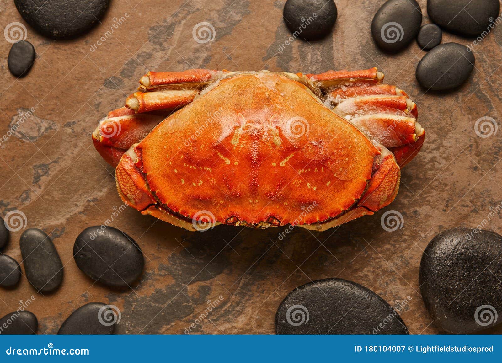 View of Raw Crab with Solid Stock Image - Image of cooled, seafood ...