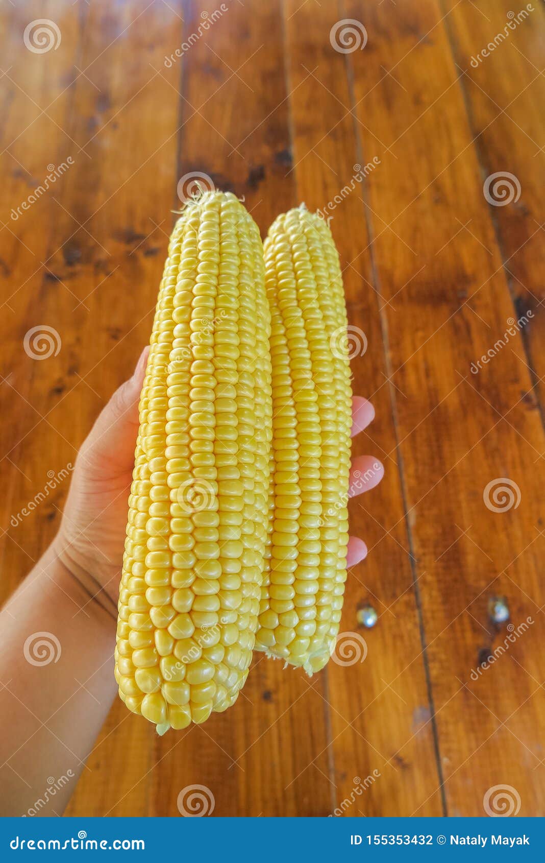 View of the Raw Home Golden Corn Cob on the Table, Selective Focus ...