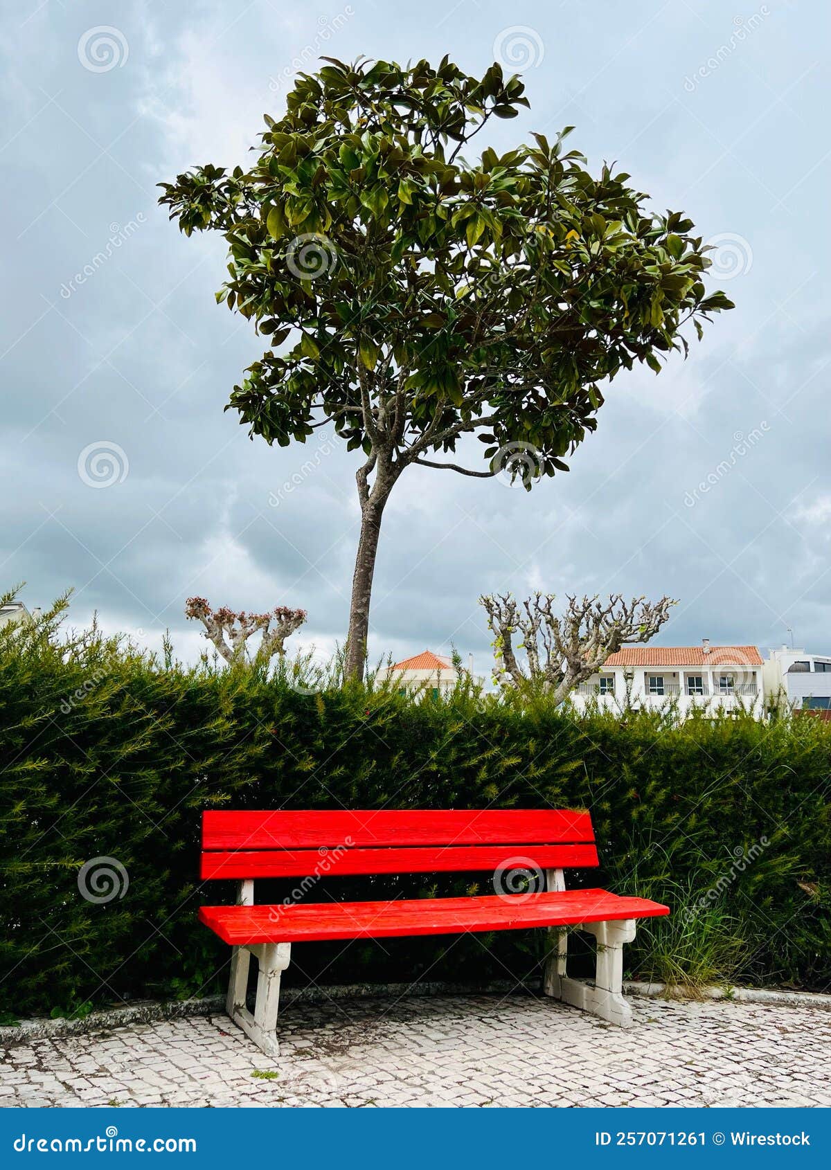 View of a Red Bench and a Tree in a Park on Windy Day Stock Image ...