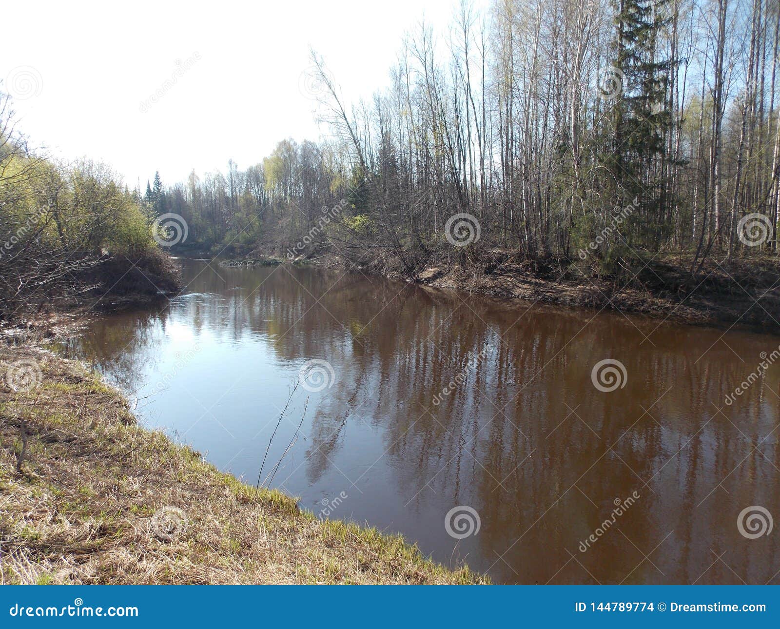 The View of Reflection of Spring Forest in the River. Stock Photo ...
