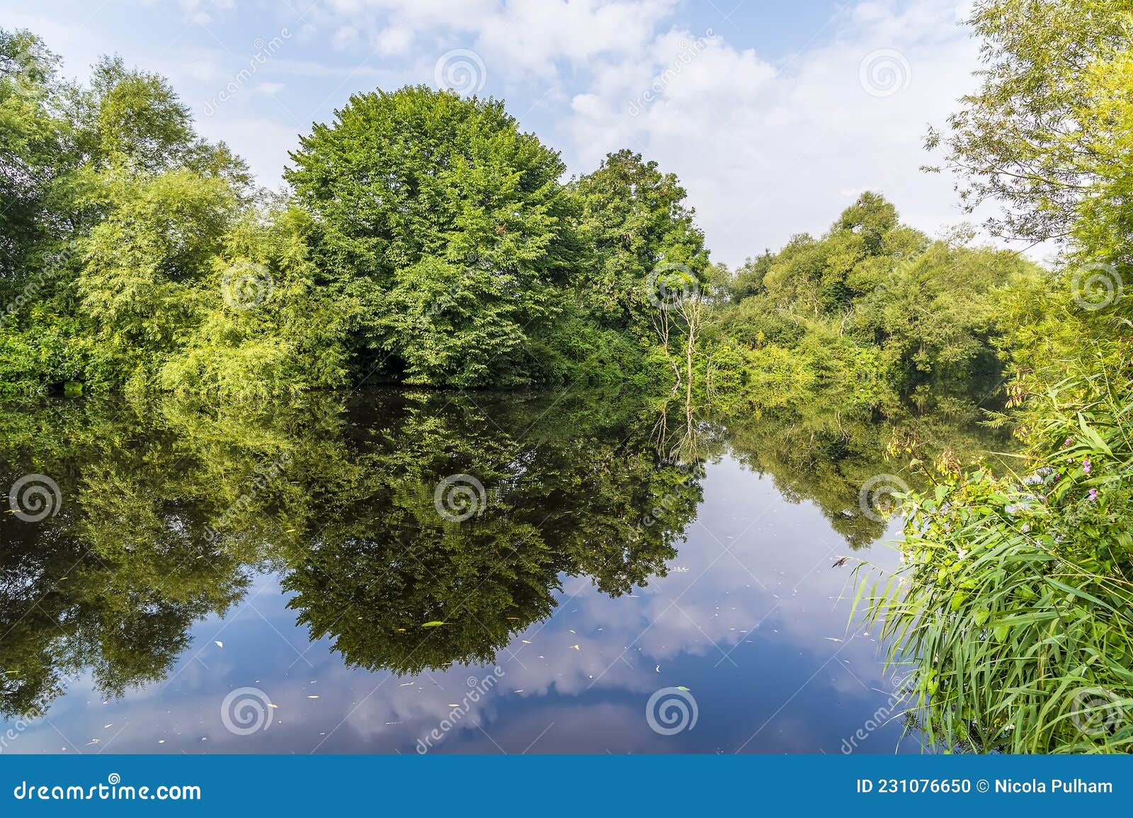 A View of Reflections Looking Downstream on the River Tees at Yarm ...