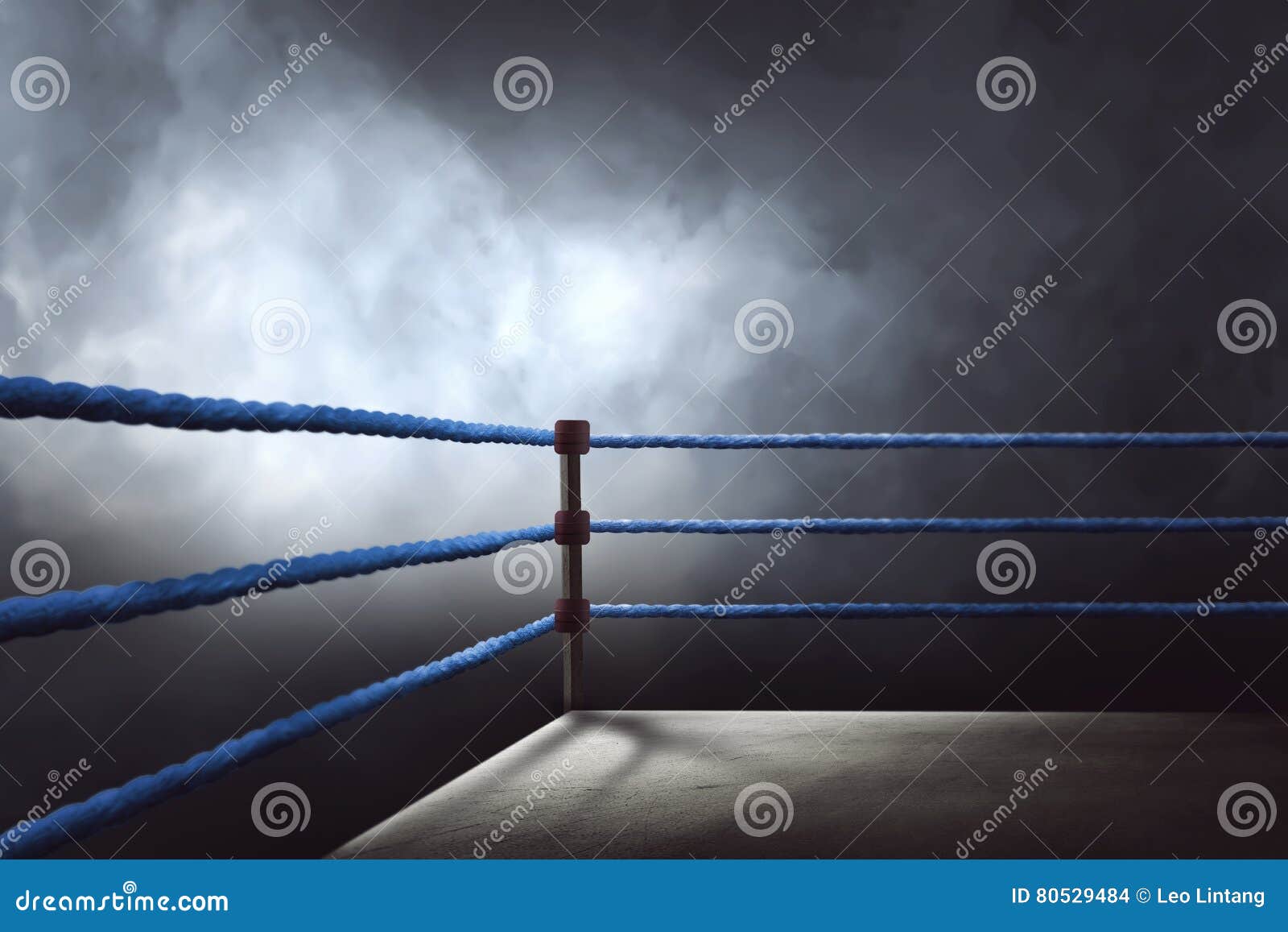 View Of Boxing Ring Rope Stock Photo | CartoonDealer.com #124669542